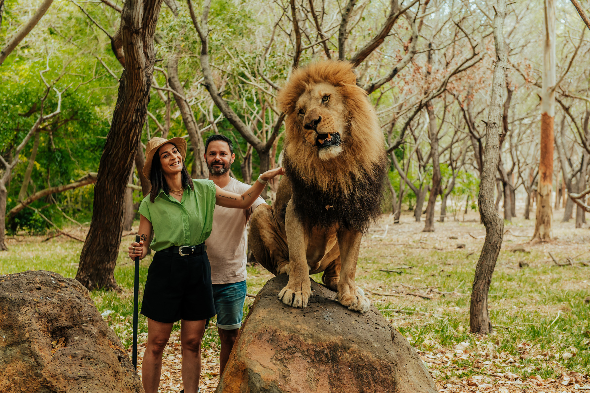 Top 1st Lion Walk in Mauritius | Unleash Your Wild Side!